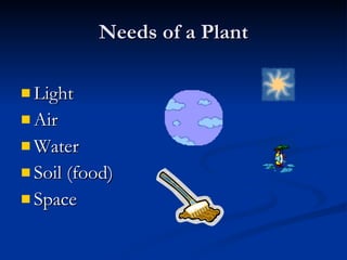 Parts of a Plant | PPT