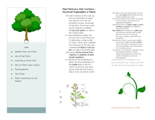 Plant partspub | PDF