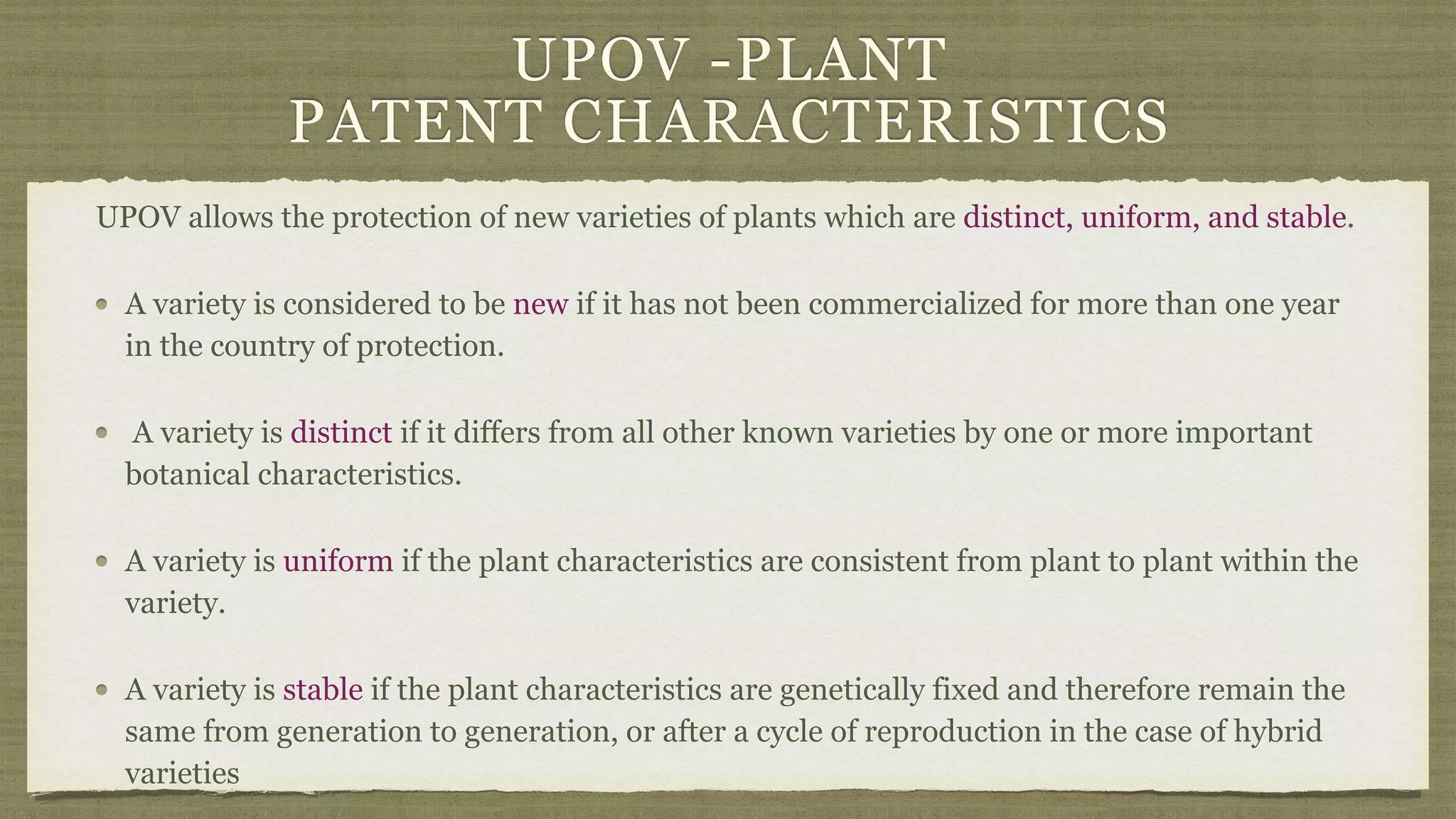 Plant Patent.pdf