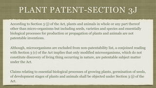 Plant Patent.pdf