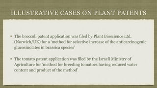 Plant Patent.pdf