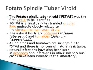 important Viral and Viroid diseases of plants | PPTX | Infectious ...