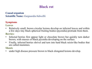 Plant pathogen | PDF