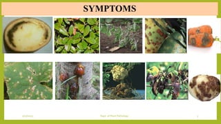 plant pathogenesis.pptx