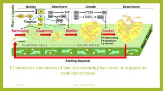plant pathogenesis.pptx