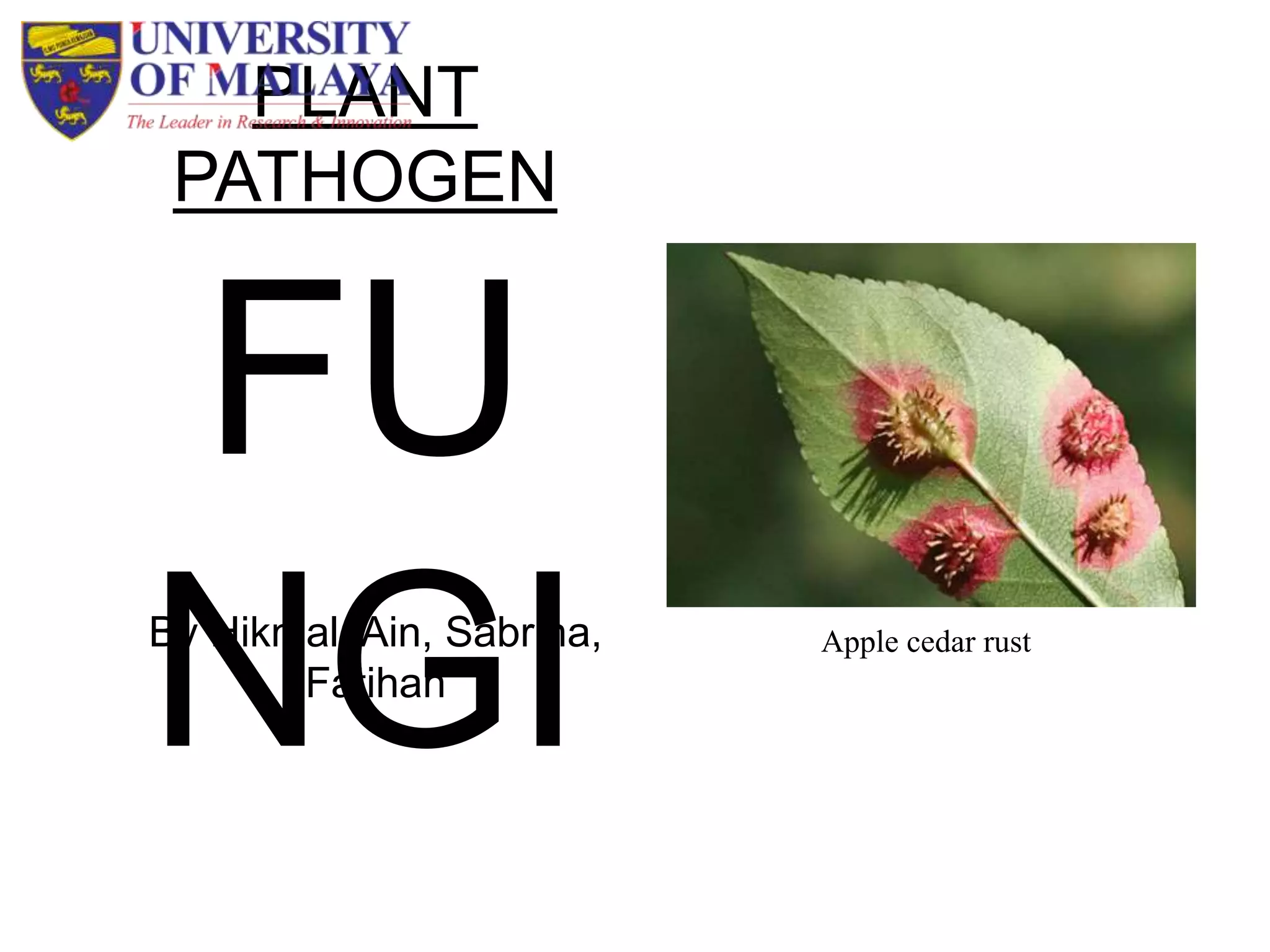 Plant pathogenesis FUNGI | PPTX