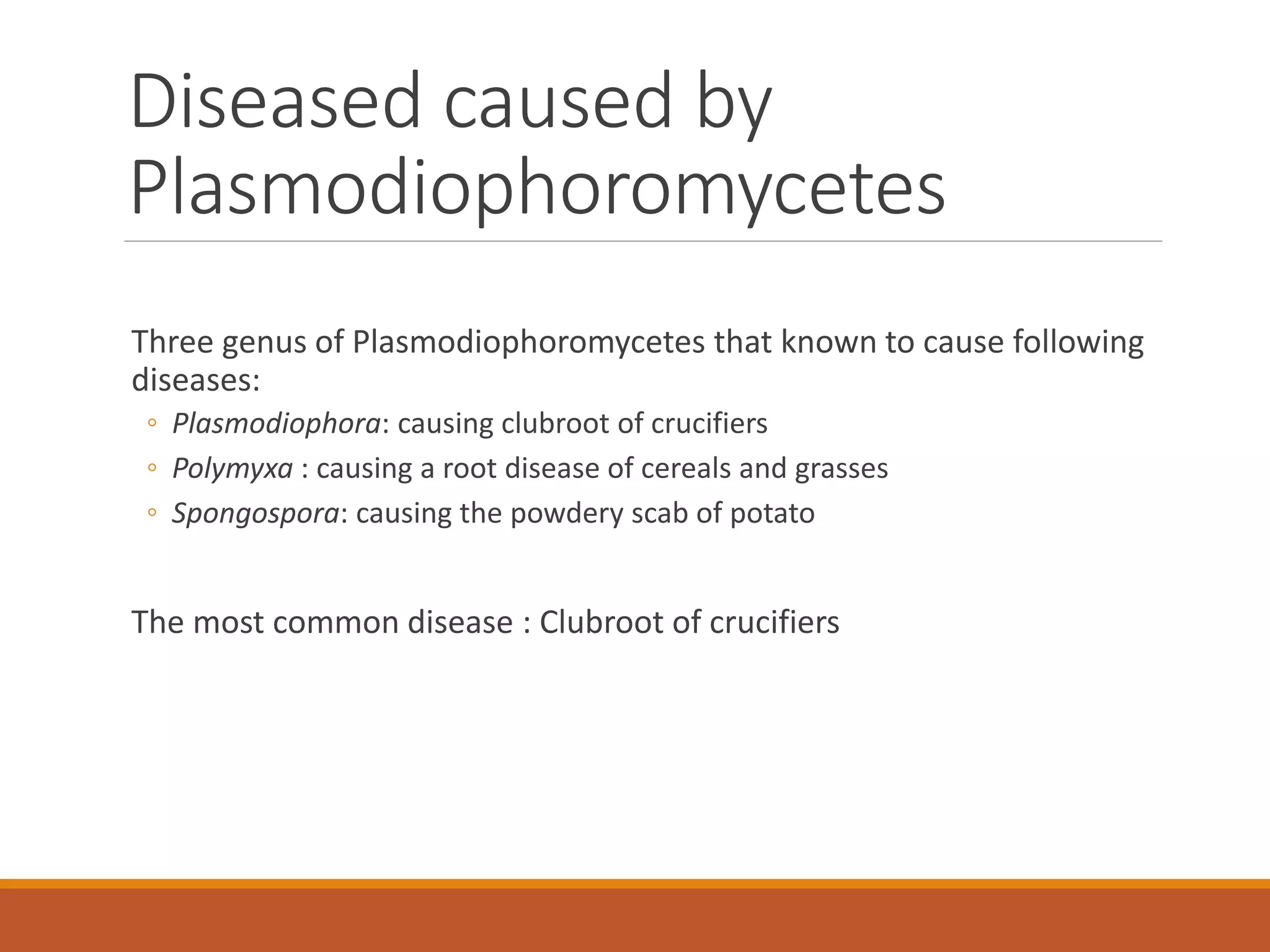 Plant pathogenesis FUNGI | PPTX