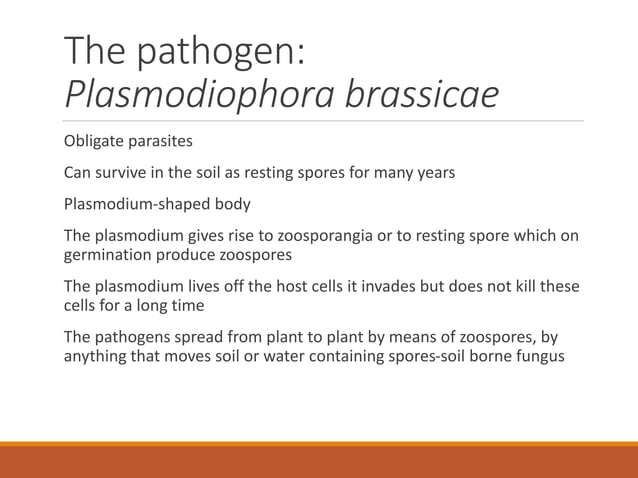 Plant pathogenesis FUNGI | PPTX