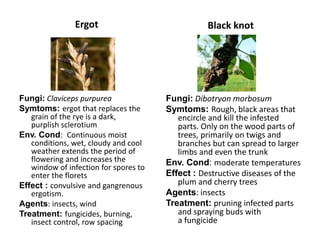 Plant pathogenesis FUNGI | PPTX