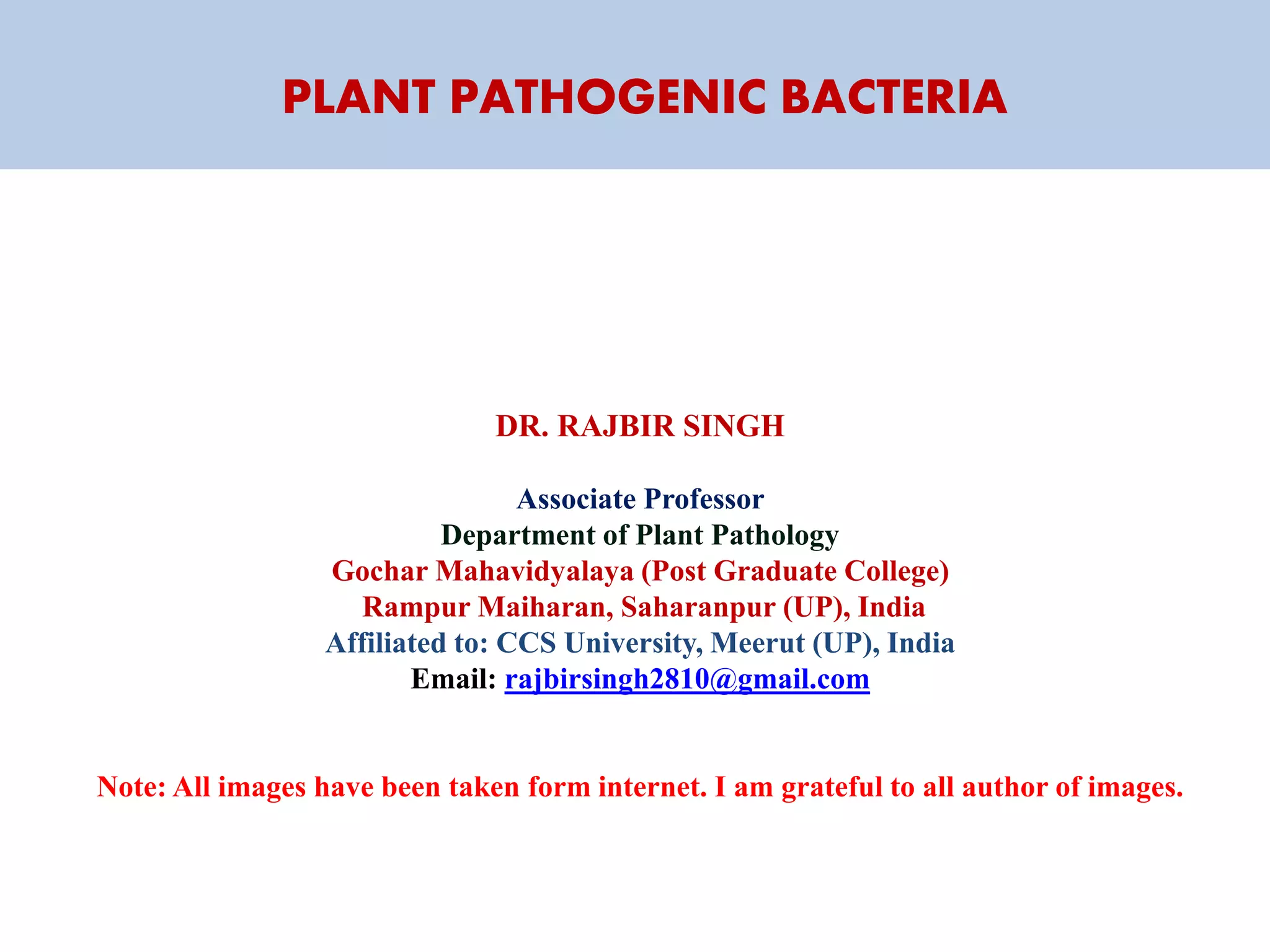 Plant pathogenic bacteria | PPTX