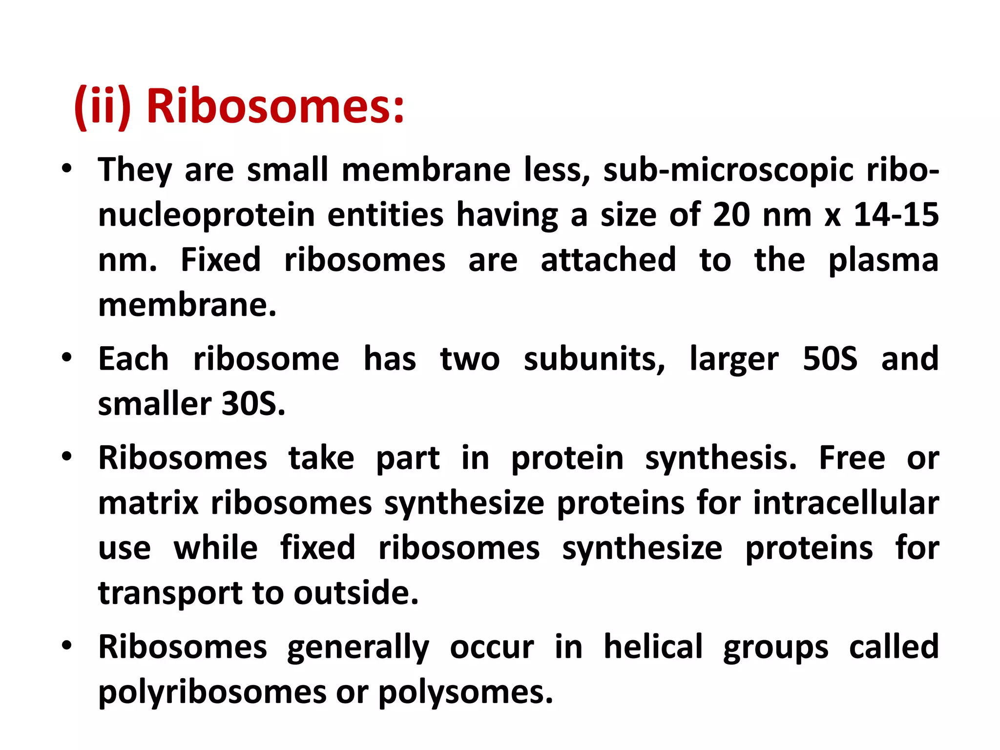 Plant pathogenic bacteria | PPTX