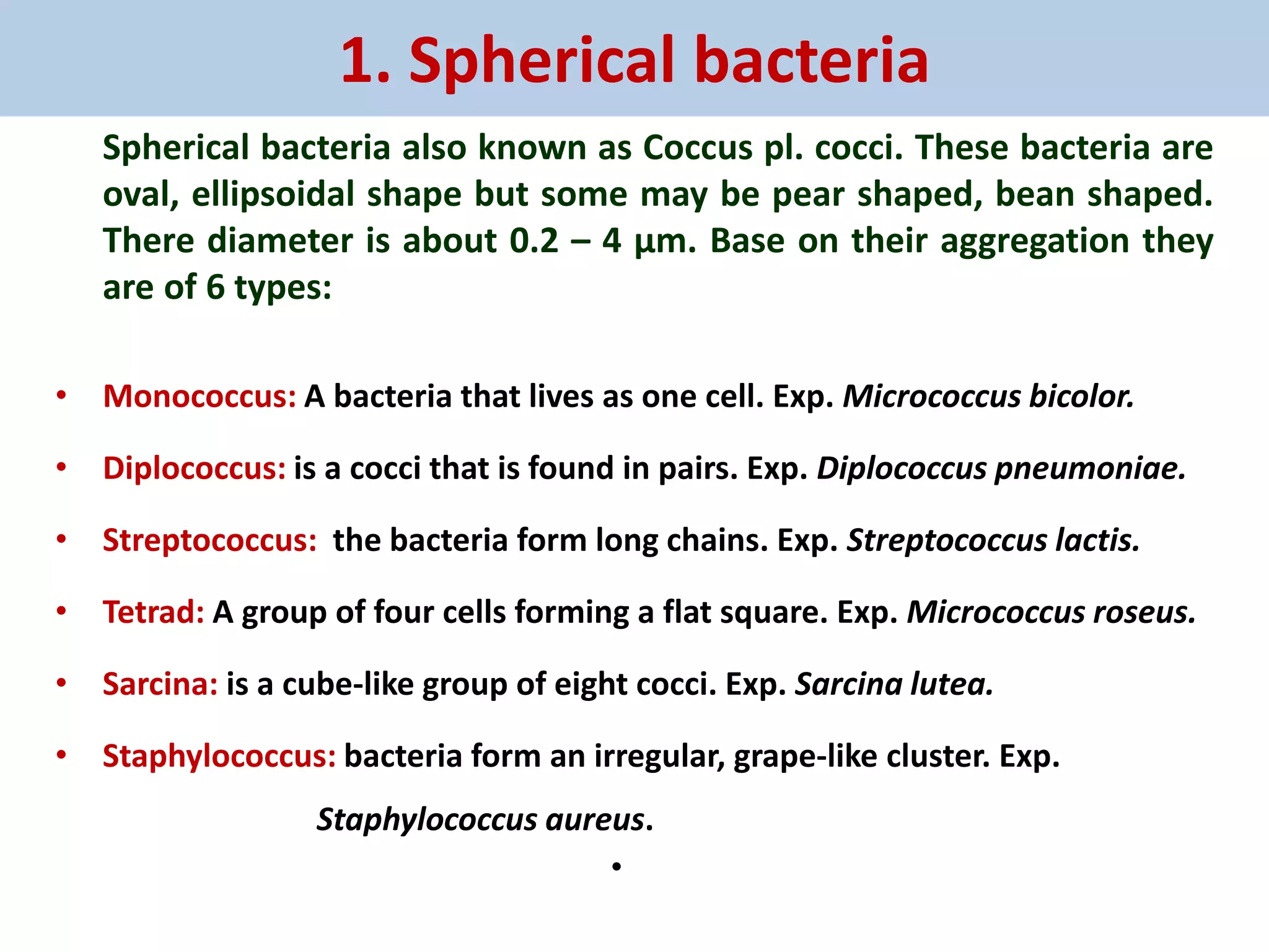 Plant pathogenic bacteria | PPTX