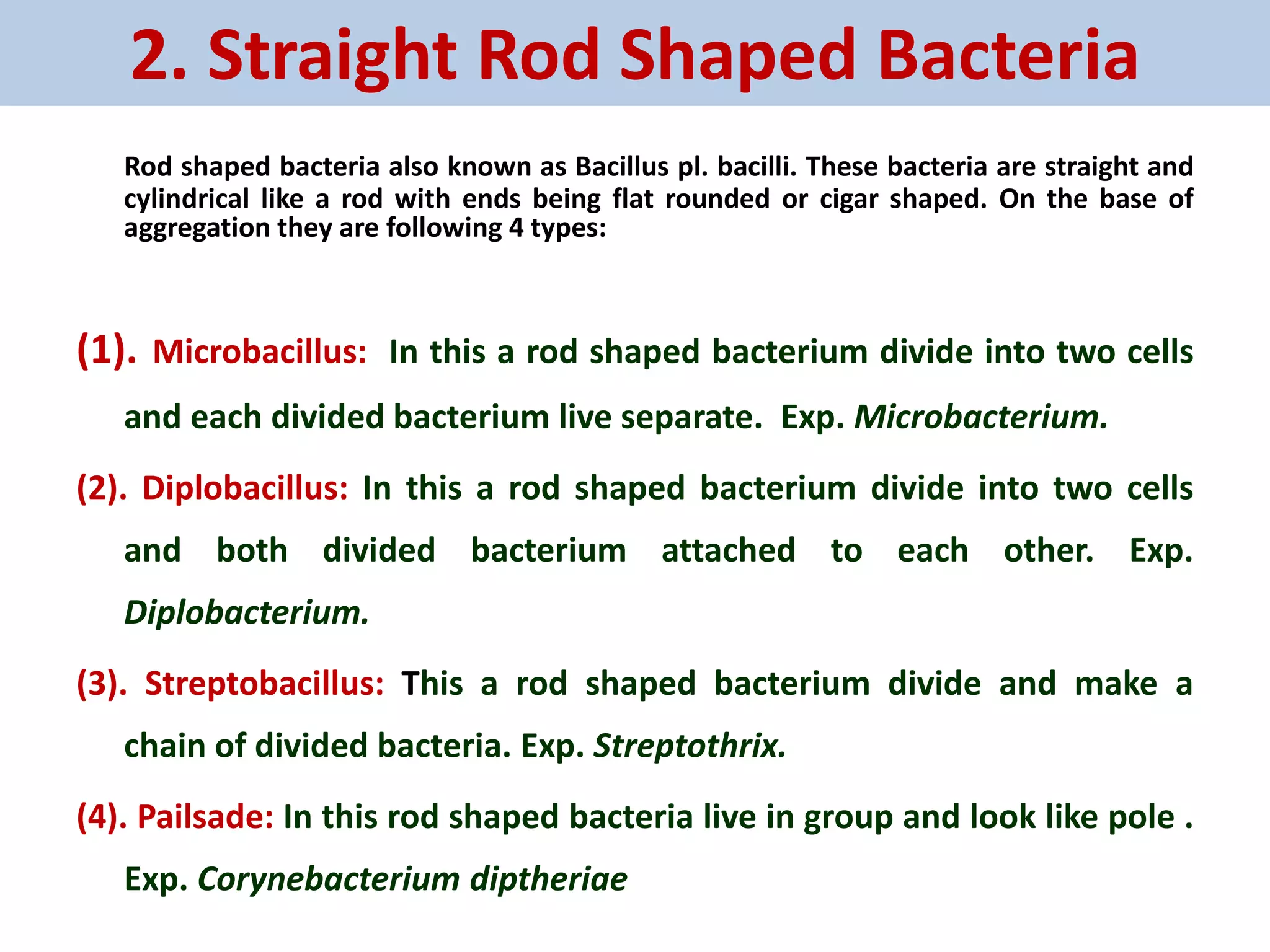 Plant pathogenic bacteria | PPTX