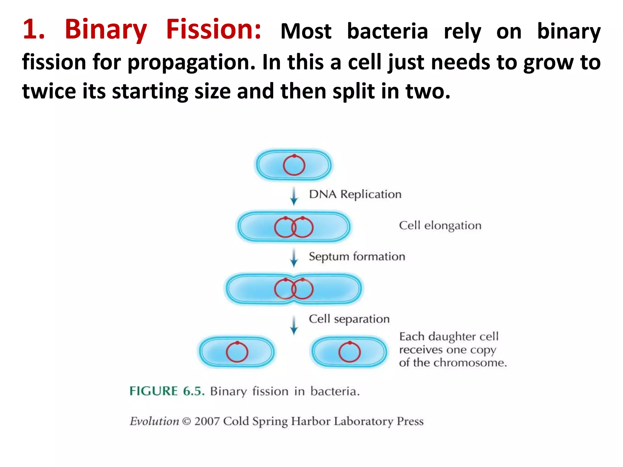 Plant pathogenic bacteria | PPTX