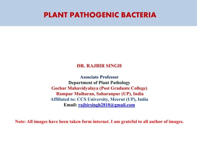 Plant pathogenic bacteria | PPTX | Biological Sciences | Science