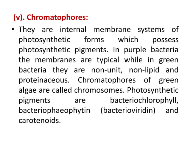 Plant pathogenic bacteria | PPTX | Biological Sciences | Science