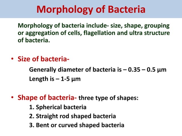 Plant pathogenic bacteria | PPTX | Biological Sciences | Science
