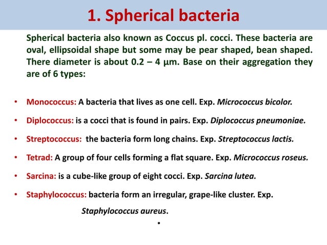 Plant pathogenic bacteria | PPTX | Biological Sciences | Science
