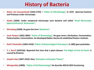 Plant pathogenic bacteria | PPTX