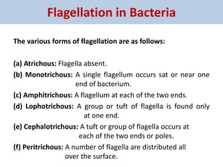 Plant pathogenic bacteria | PPTX