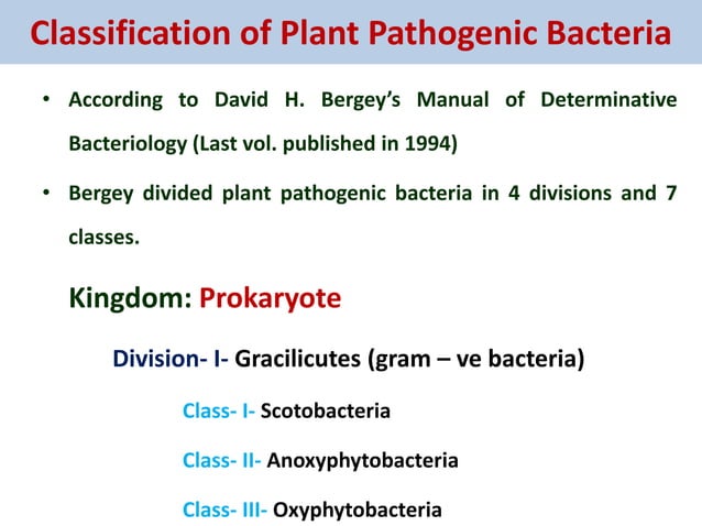 Plant pathogenic bacteria | PPTX | Biological Sciences | Science