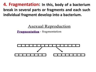 Plant pathogenic bacteria | PPTX