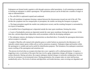 Plant Pathogenic Prokaryotes.pdf