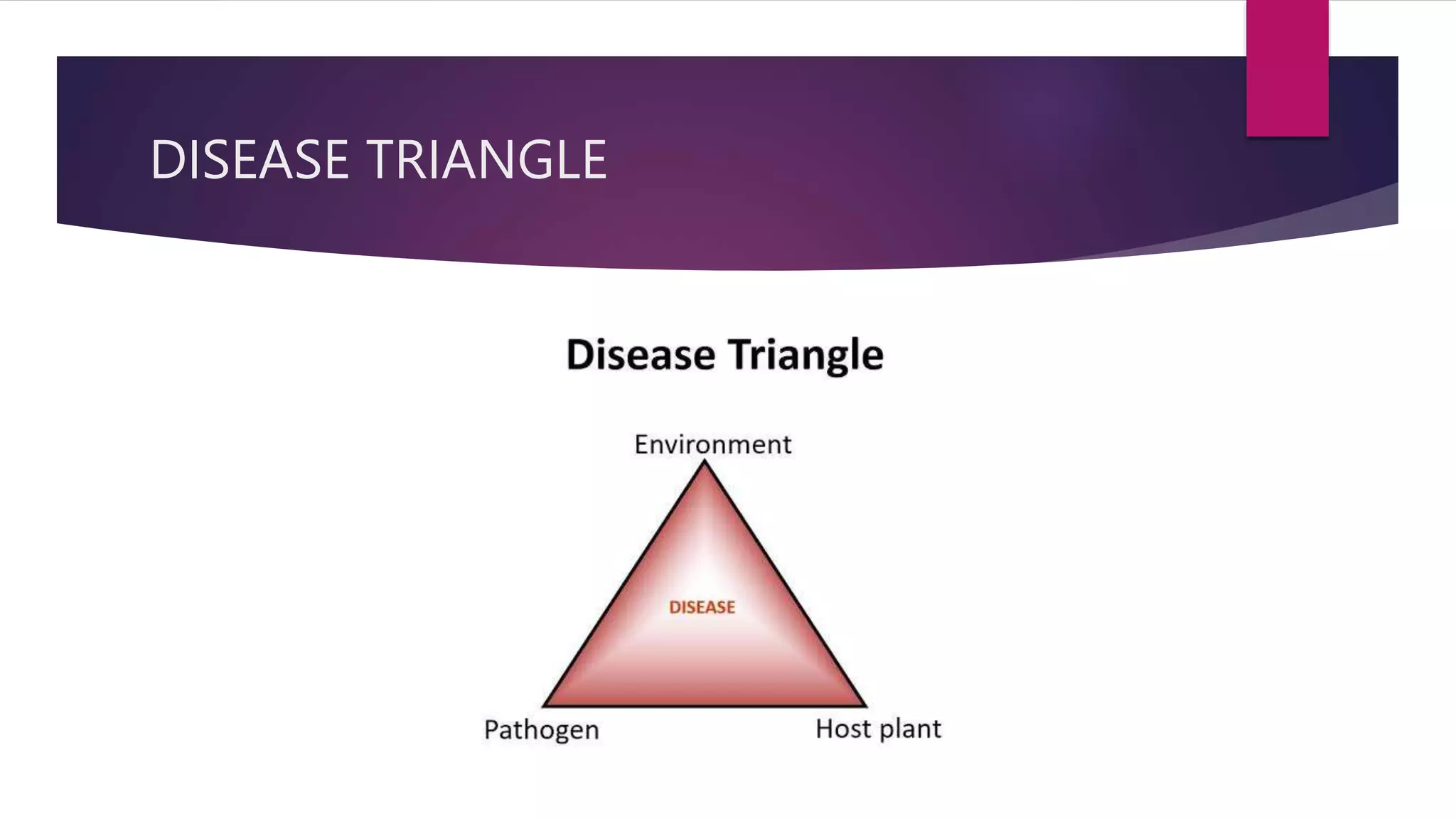Plant pathology .pptx