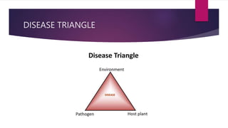 Plant pathology .pptx