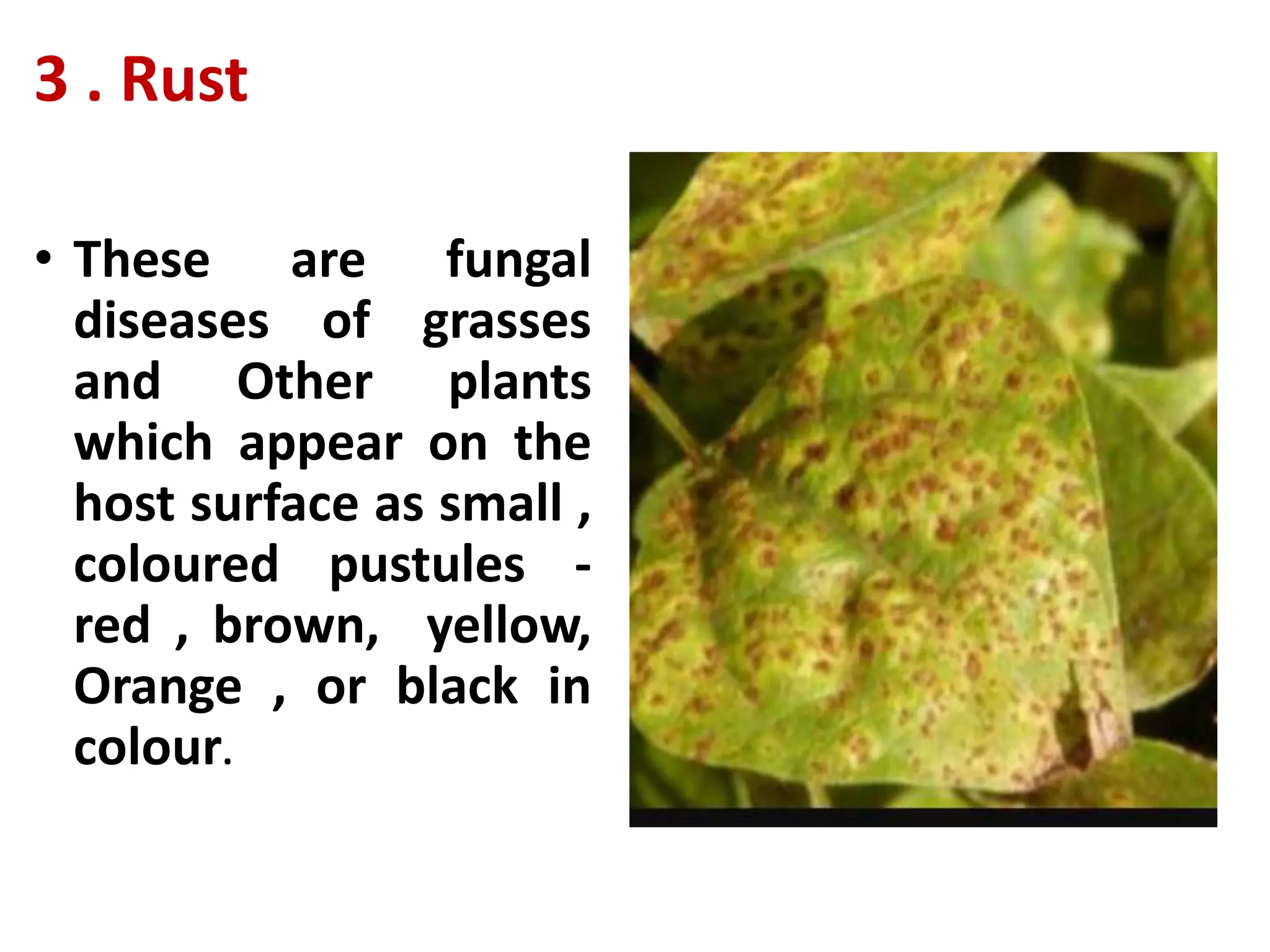 Plant pathology | PPTX