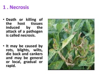 Plant pathology | PPTX