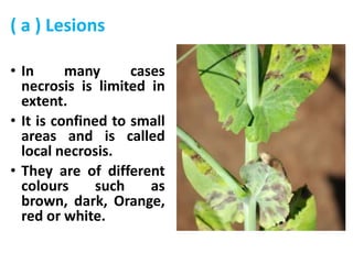 Plant pathology | PPTX