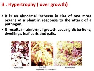 Plant pathology | PPTX | Infectious Diseases | Diseases and Conditions