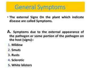 Plant pathology | PPTX | Infectious Diseases | Diseases and Conditions