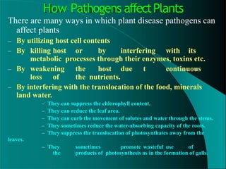 plant pathology.ppt