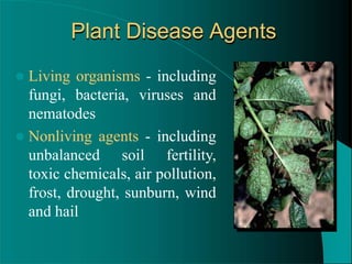 plant pathology.ppt