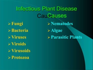 plant pathology.ppt