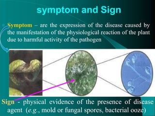 plant pathology.ppt