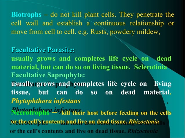 plant pathology.ppt | Gardening | Home & Garden