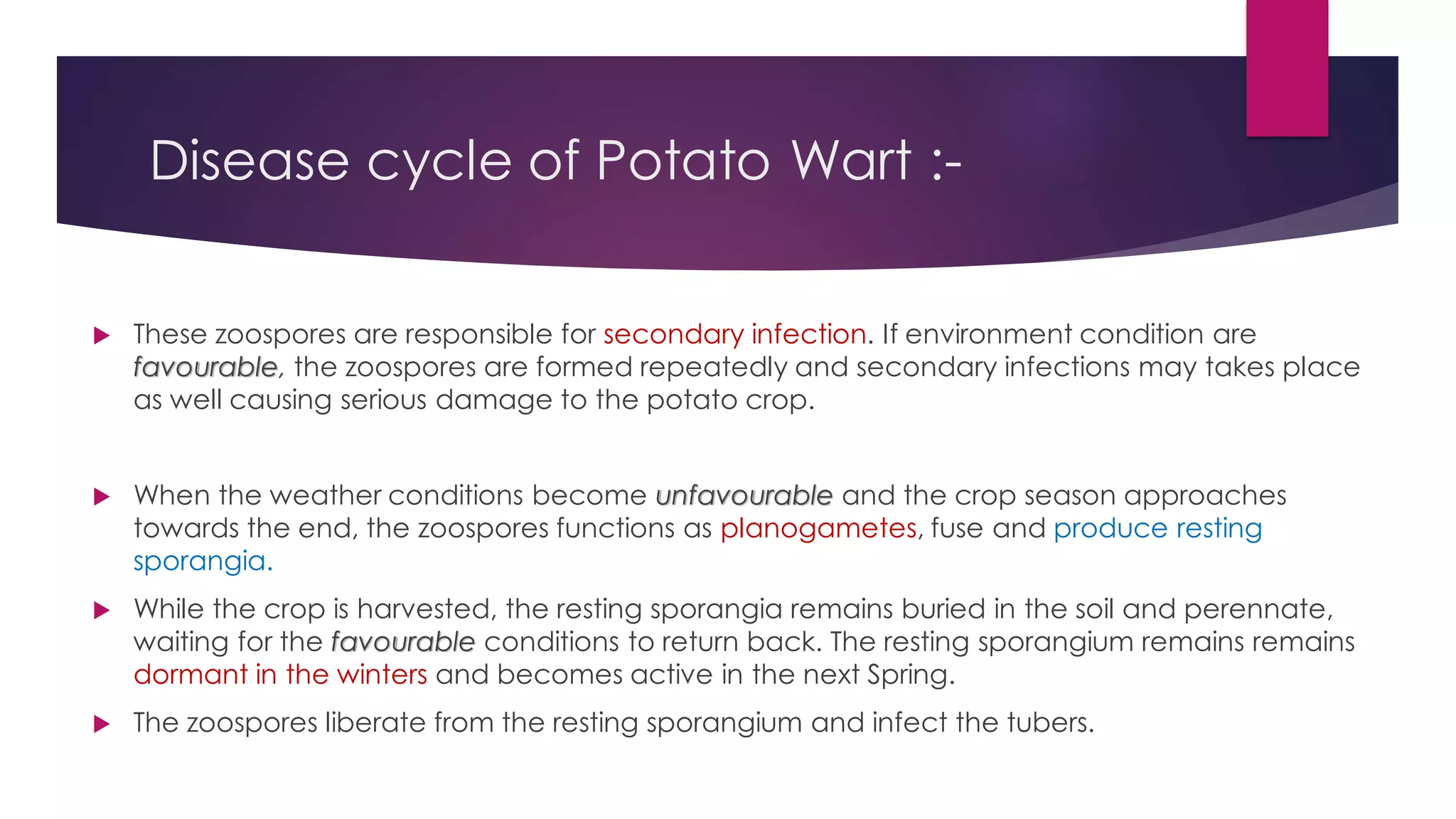Plant Pathology Black wart disease of Potato.pdf