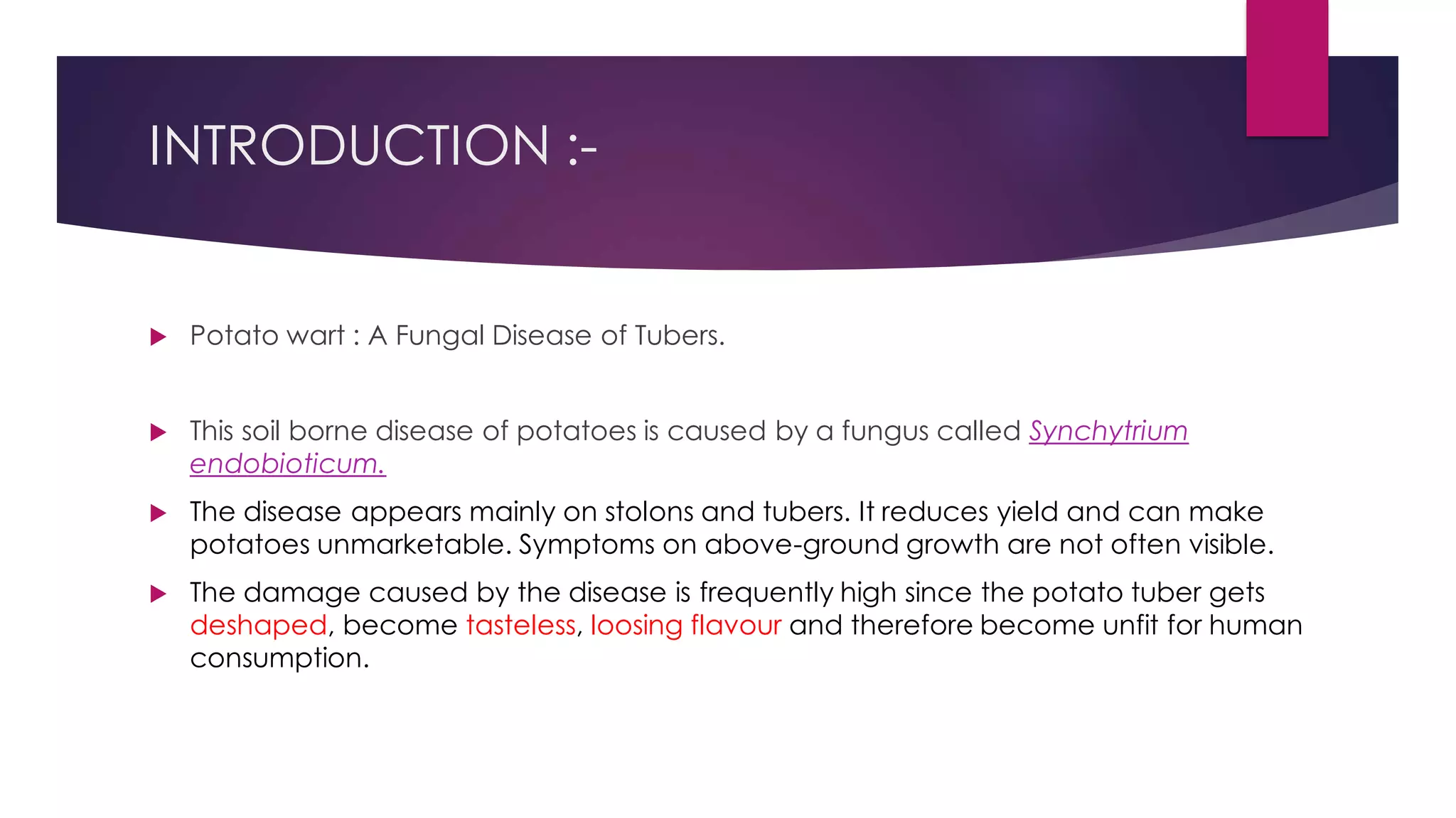 Plant Pathology Black wart disease of Potato.pdf