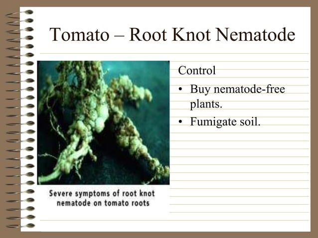 FFA Judging Plant pathology study guide.ppt