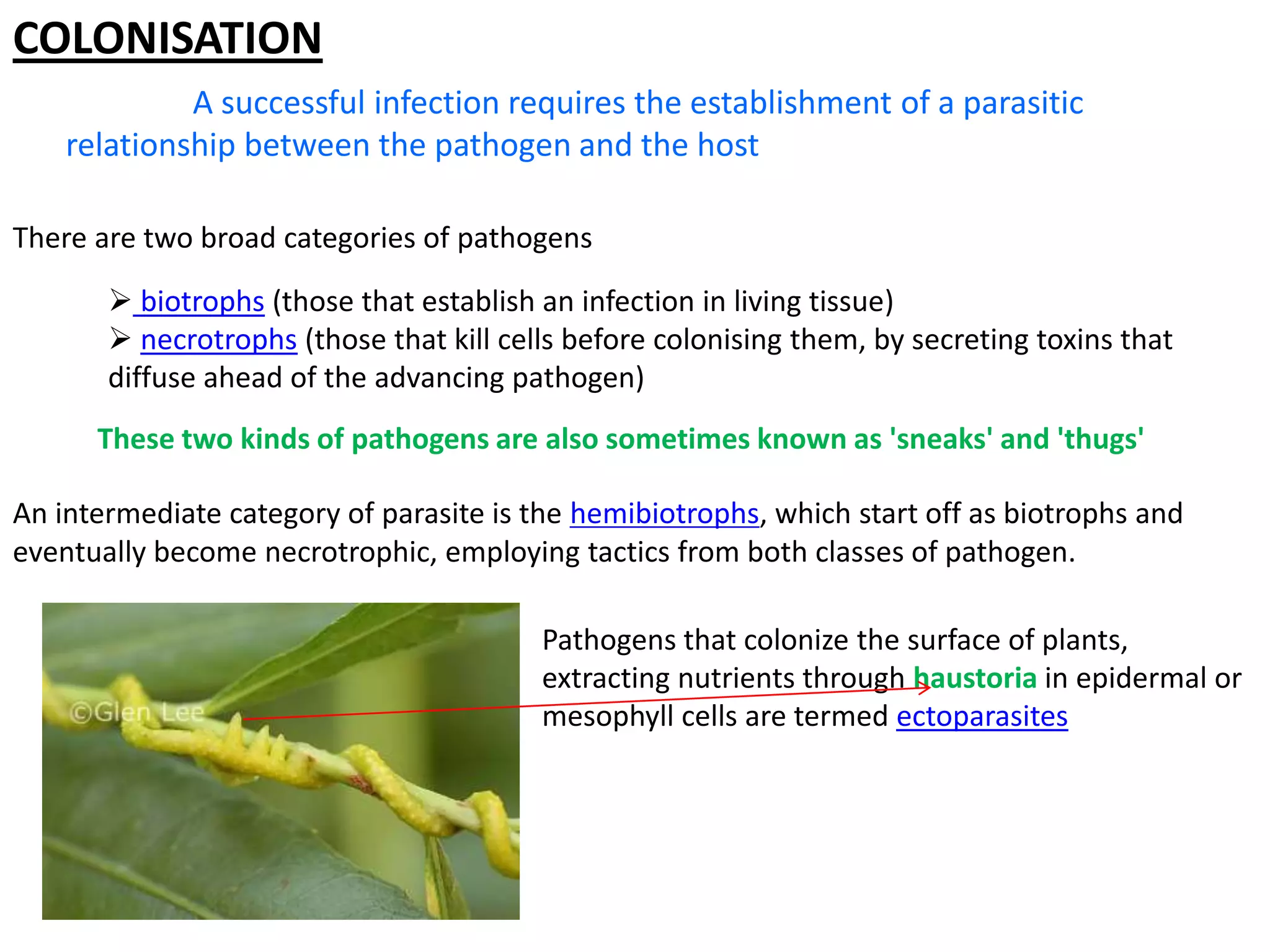 Plant pathology | PPTX