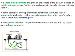 Plant pathology | PPTX
