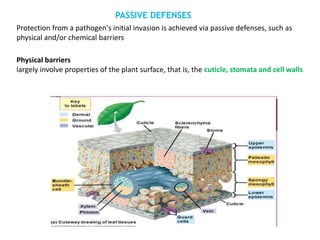 Plant pathology | PPTX