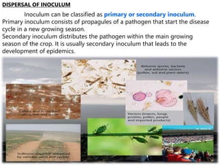 Plant pathology | PPTX