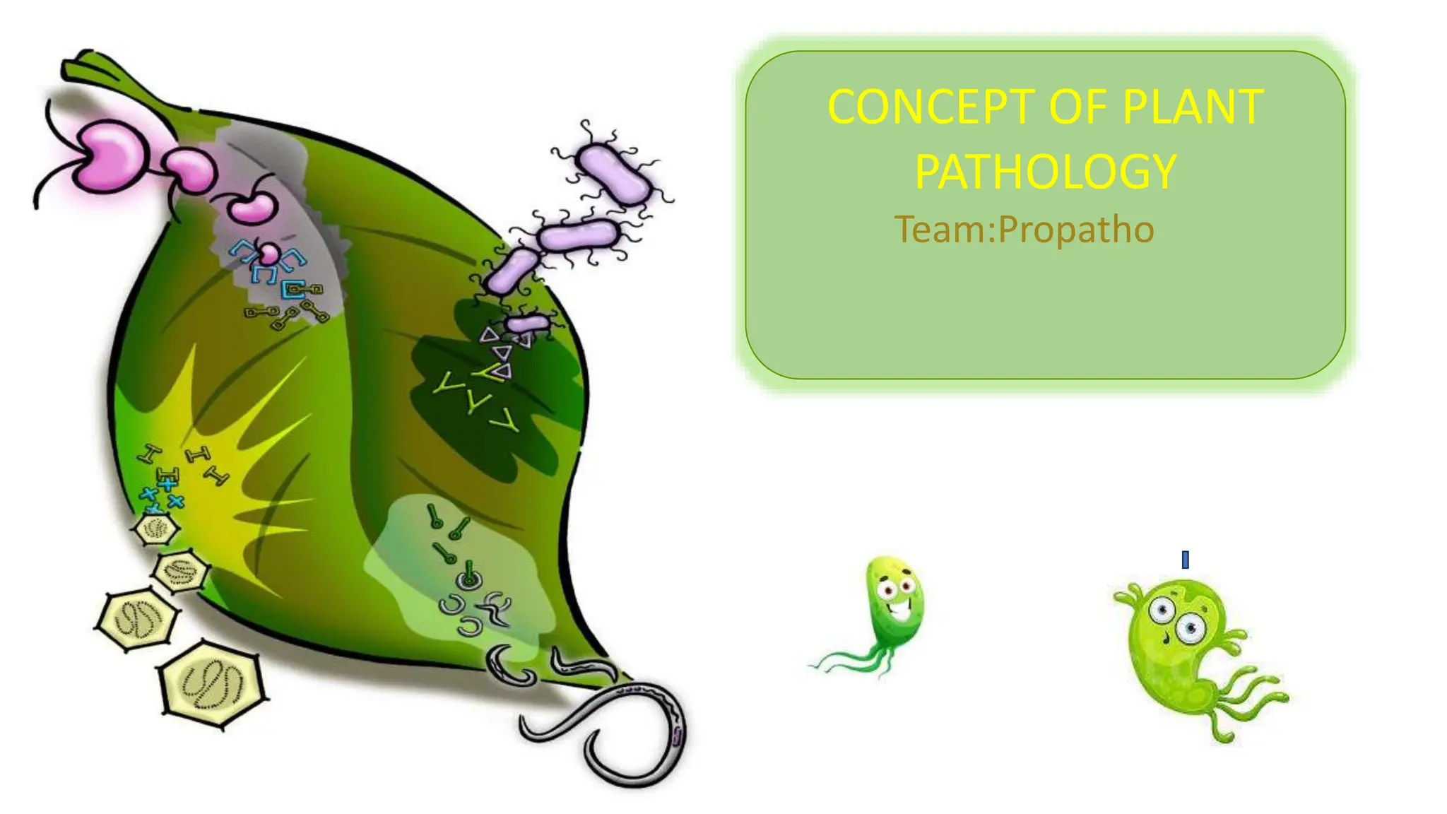 plant pathology introduction.pptx