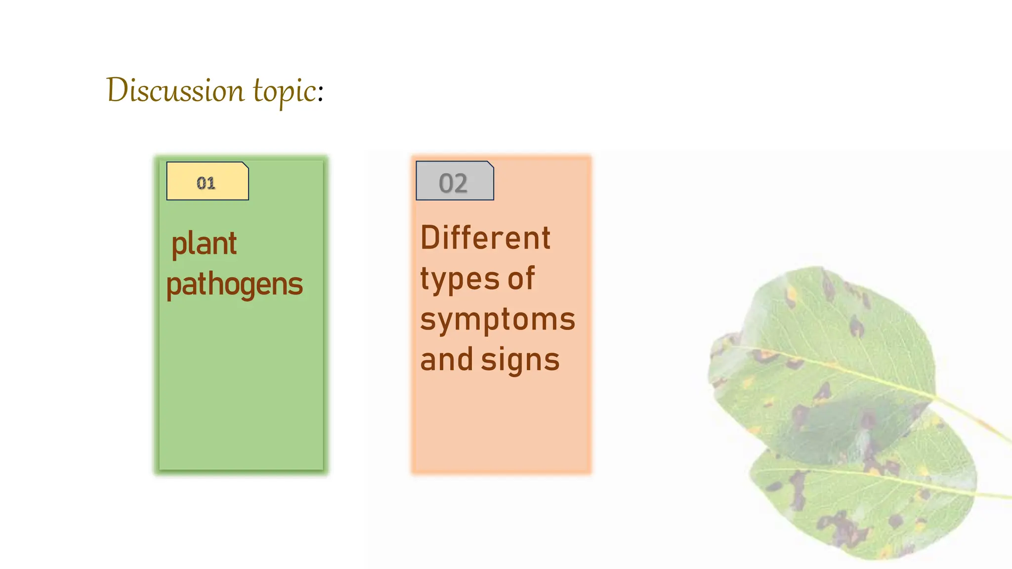 plant pathology introduction.pptx