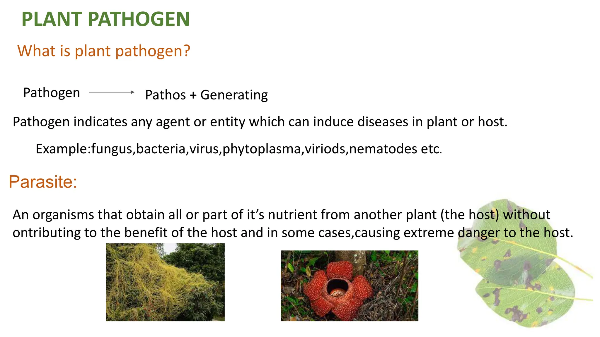 plant pathology introduction.pptx