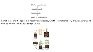 plant pathology introduction.pptx